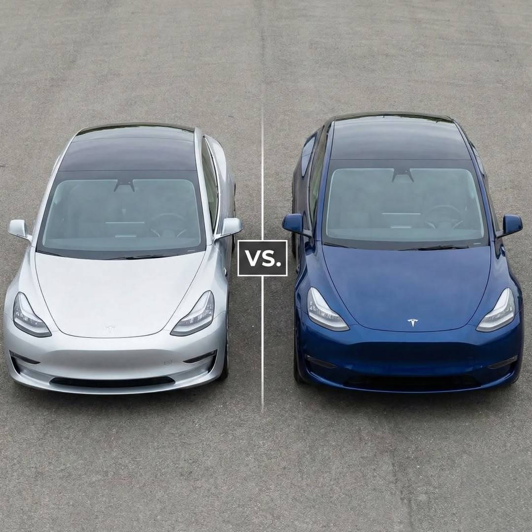 Tesla Model Y Guide – Specs, History & Upgrades | BimmerTech